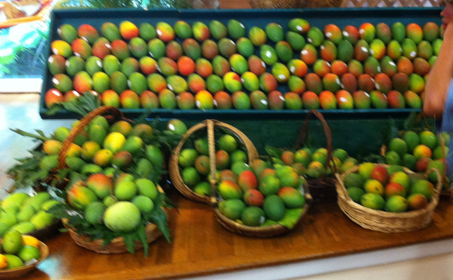 Mango Magic at Fairchild Garden Festival